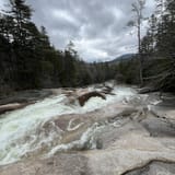 Franconia Falls Trail, New Hampshire - 1,600 Reviews, Map | AllTrails