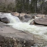 Franconia Falls Trail, New Hampshire - 1,600 Reviews, Map | AllTrails