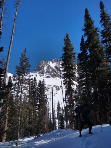 Best Hot Springs Trails in Aspen | AllTrails