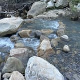 Cold Spring Loop, California - 2,189 Reviews, Map | AllTrails