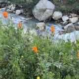 Cold Spring Loop, California - 2,189 Reviews, Map | AllTrails