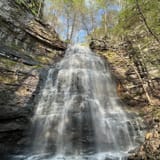 Denny Cove Waterfall Trail , Tennessee - 1,130 Reviews, Map | AllTrails
