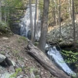 Denny Cove Waterfall Trail , Tennessee - 1,130 Reviews, Map | AllTrails