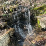 Denny Cove Waterfall Trail , Tennessee - 1,130 Reviews, Map | AllTrails