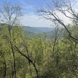 Denny Cove Waterfall Trail , Tennessee - 1,130 Reviews, Map | AllTrails