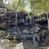 Denny Cove Waterfall Trail , Tennessee - 1,130 Reviews, Map | AllTrails
