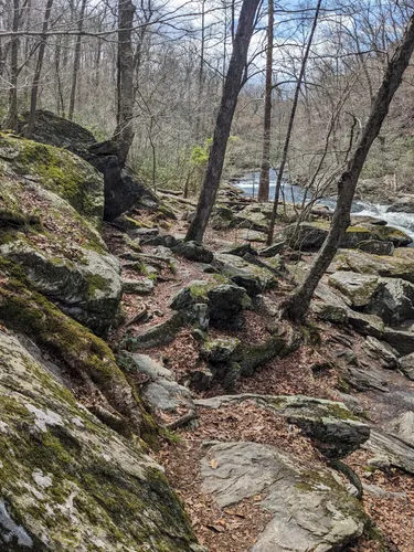 Best Kid Friendly Trails in Prettyboy Reservoir Cooperative Wildlife ...