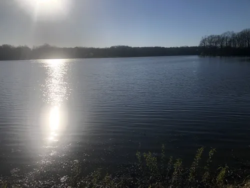 Best Hikes and Trails in Sunny Lake Park | AllTrails