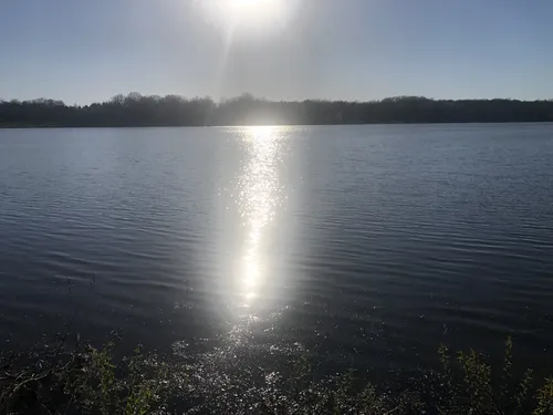 Best Hikes and Trails in Sunny Lake Park | AllTrails