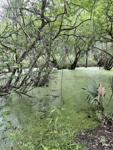 Best Hikes and Trails in Lake Creek Preserve | AllTrails