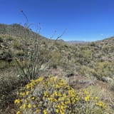 Go John Trail, Arizona - 2,747 Reviews, Map | AllTrails