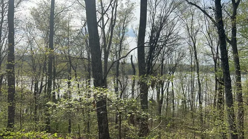 Best Hikes and Trails in Nolin Lake State Park | AllTrails