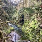 Kennedy Falls Trail , Washington - 869 Reviews, Map | AllTrails
