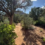 Bell Rock Loop Trail, Arizona - 2,383 Reviews, Map | AllTrails