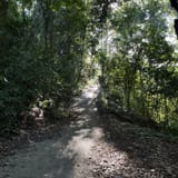 Mount Beerburrum Walking Track, Queensland, Australia - 559 Reviews ...