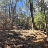 Little Monadnock Mountain Trail, New Hampshire - 325 Reviews, Map ...