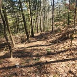 Little Monadnock Mountain Trail, New Hampshire - 325 Reviews, Map ...