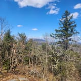 Little Monadnock Mountain Trail, New Hampshire - 325 Reviews, Map ...