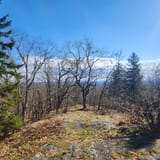 Little Monadnock Mountain Trail, New Hampshire - 372 Reviews, Map ...