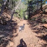 Fowler Trail, Colorado - 2,032 Reviews, Map | AllTrails