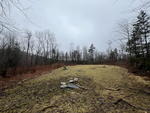 Best Easy Trails in October Mountain State Forest | AllTrails