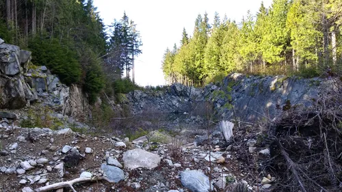 Best Lake Trails in UBC Malcolm Knapp Research Forest | AllTrails