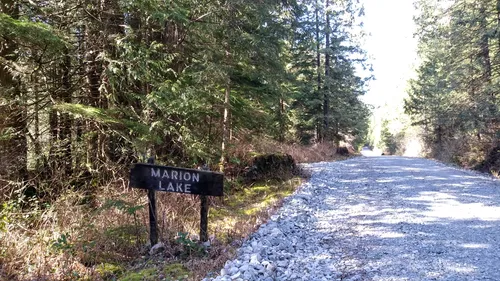 Best Lake Trails in UBC Malcolm Knapp Research Forest | AllTrails