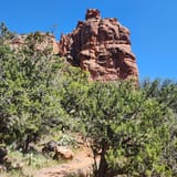 Bell Trail, Arizona - 3,202 Reviews, Map | AllTrails