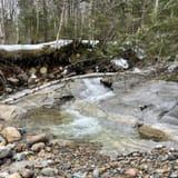 Mount Tom, Mount Field, Mount Willey and Mount Avalon Trail, New ...