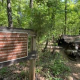 Canyon Loop Trail, Georgia - 2,234 Reviews, Map | AllTrails