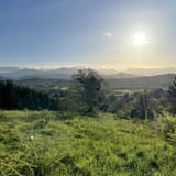 Bald Hill Natural Area Loop, Oregon - 341 Reviews, Map | AllTrails