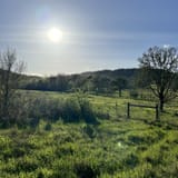 Bald Hill Natural Area Loop, Oregon - 341 Reviews, Map | AllTrails