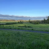 Bald Hill Natural Area Loop, Oregon - 341 Reviews, Map | AllTrails