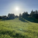 Bald Hill Natural Area Loop, Oregon - 341 Reviews, Map | AllTrails