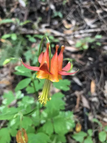 Best Views Trails in Pogonip Open Space Preserve | AllTrails