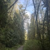 Chuckanut Falls, Washington - 640 Reviews, Map | AllTrails