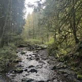 Chuckanut Falls, Washington - 640 Reviews, Map | AllTrails