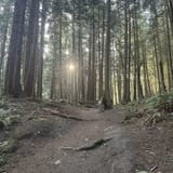 Chuckanut Falls, Washington - 640 Reviews, Map | AllTrails