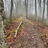 Black Forest North Loop Trail, Pennsylvania - 300 Reviews, Map | AllTrails