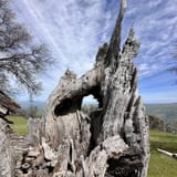 Murietta Falls Trail, California - 826 Reviews, Map | AllTrails