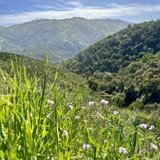 Murietta Falls Trail, California - 779 Reviews, Map | AllTrails