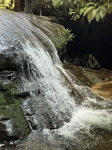 Best Hikes and Trails in Newnes State Forest | AllTrails