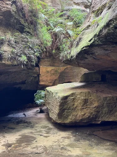 Best Hikes and Trails in Newnes State Forest | AllTrails