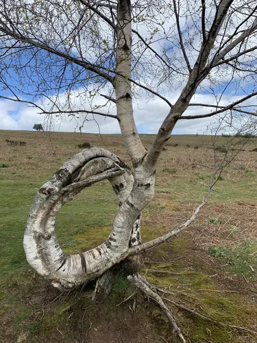 Best Hikes and Trails in Garway Hill Common | AllTrails