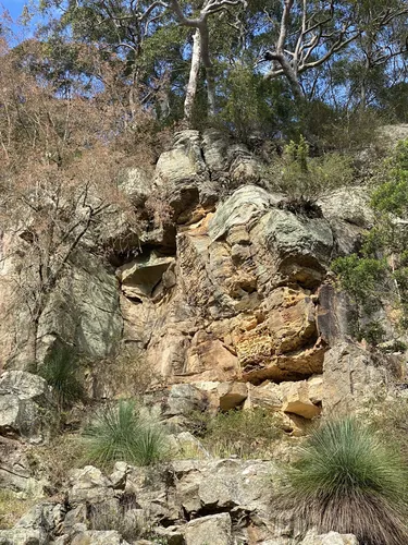 Best Long Trails in Watagans National Park | AllTrails