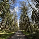 Scolty Hill, Aberdeenshire, Scotland - 102 Reviews, Map | AllTrails