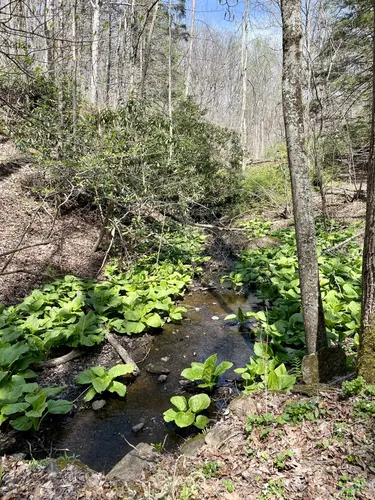 Best Trail Running Trails in Hunt Valley | AllTrails