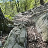 George W. Disney Trail, Georgia - 587 Reviews, Map | AllTrails