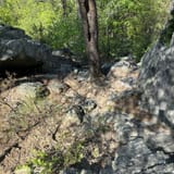 George W. Disney Trail, Georgia - 587 Reviews, Map | AllTrails