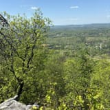 George W. Disney Trail, Georgia - 587 Reviews, Map | AllTrails